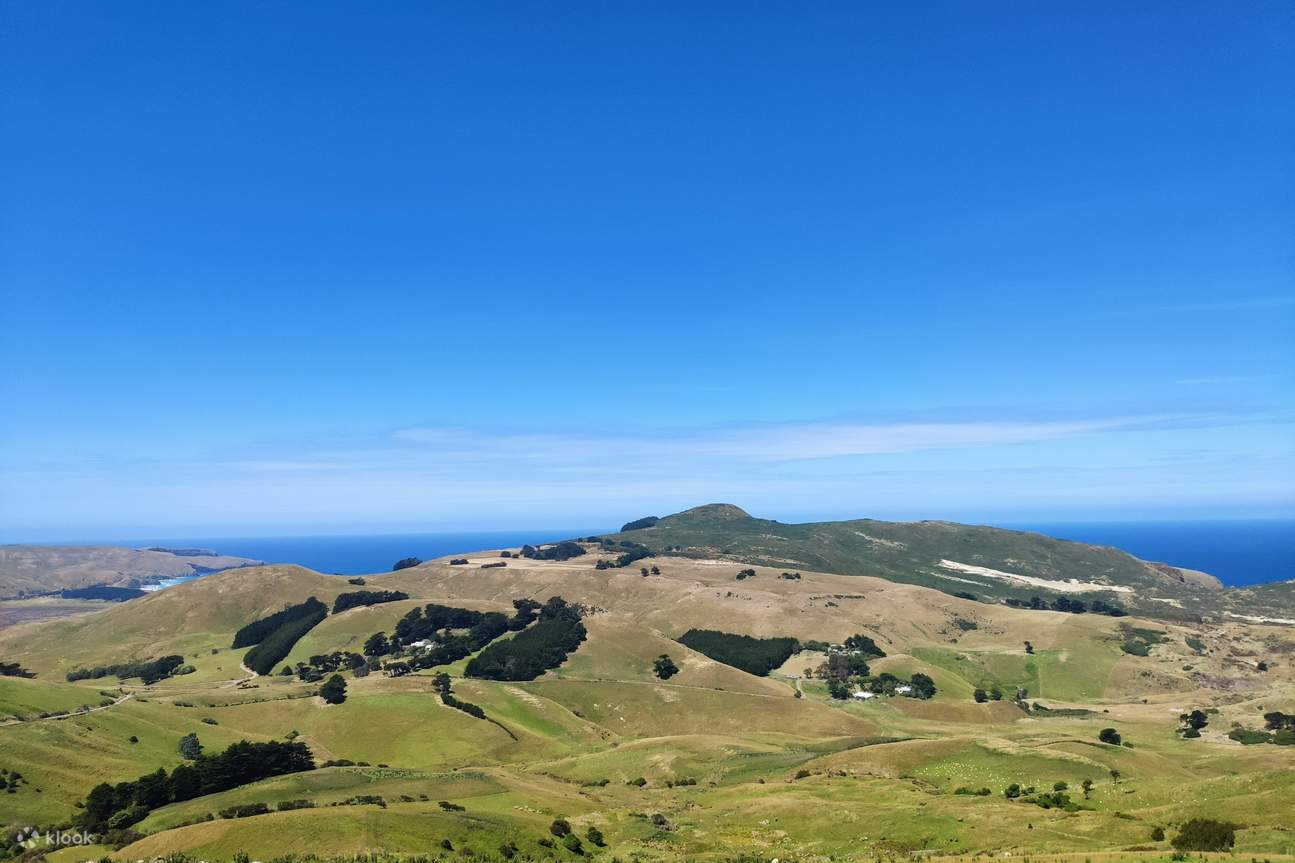 Dunedin City Highlights & Larnach Castle Tour - Klook Malaysia
