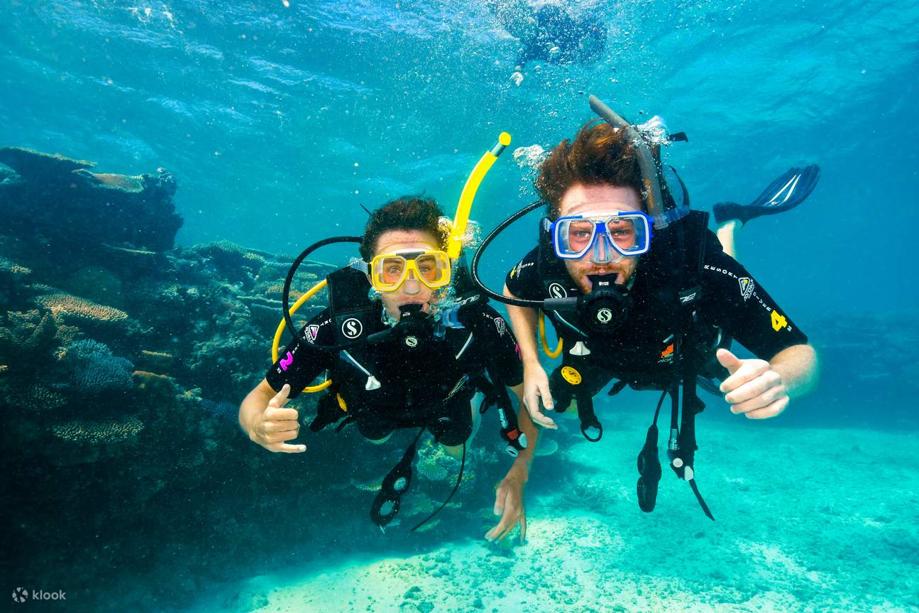 멋진 포트 더글라스의 프리미엄 오픈워터 다이버 코스로 수심을 탐험해보세요 Padi Resort Excellence 클룩