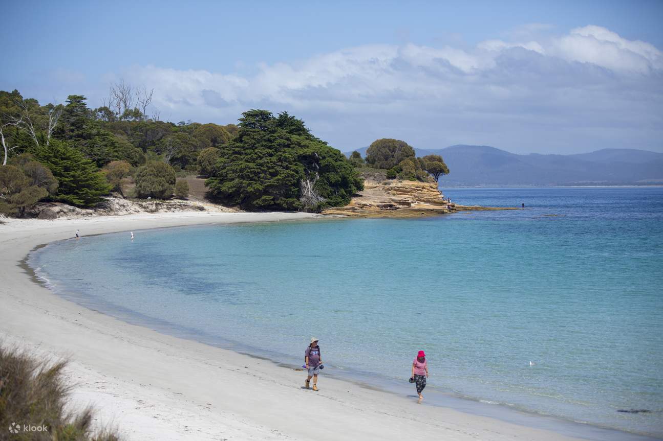 Excursión activa de un día al Parque Nacional Isla Maria desde Hobart ...