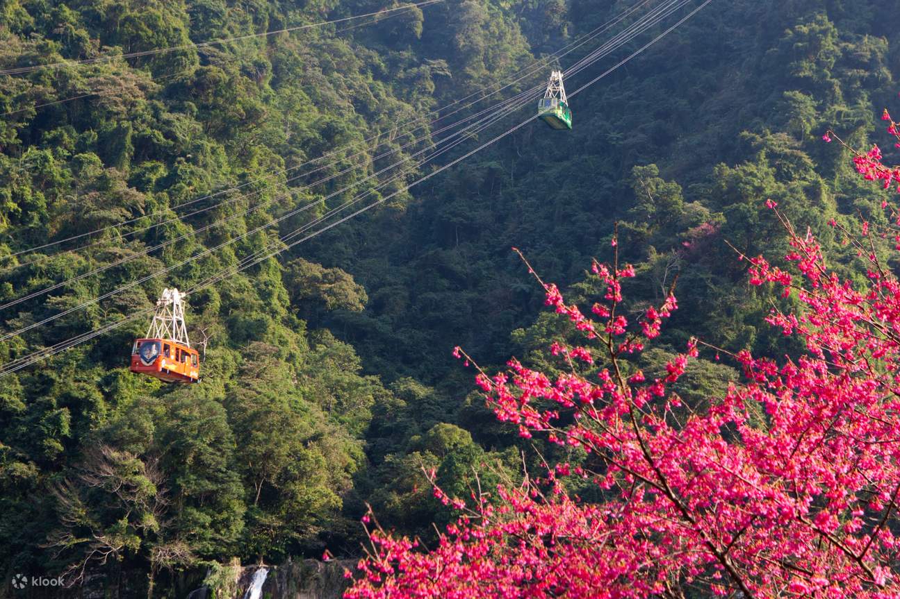 Wulai Mountain Forest Hot Spring Day Trip: Waterfall Cable Car & Wulai ...