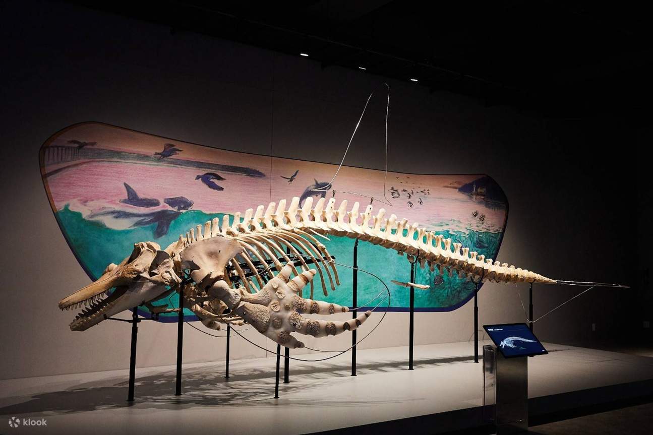 Kobe Suma Seaworld - Klook