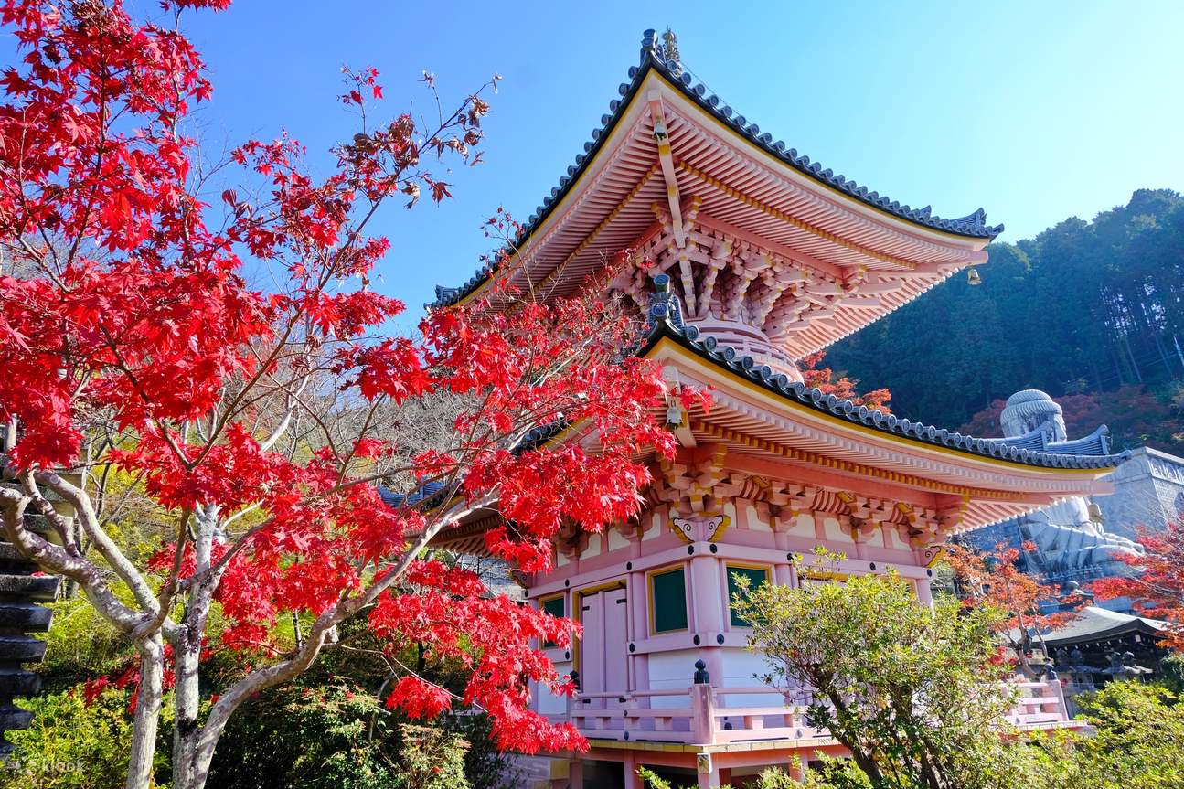 Autumn Leaves Buddha and Mt.Yoshino with Orange Picking Tour - Klook ...