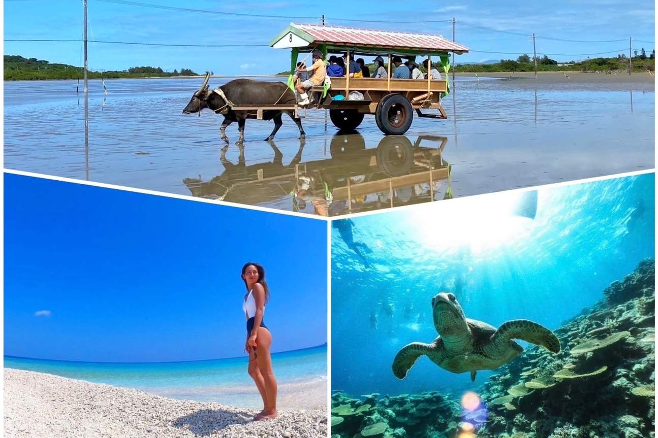 Pulau Iriomote & Pulau Yubu Lawatan & Pengalaman Aktiviti Sehari ...