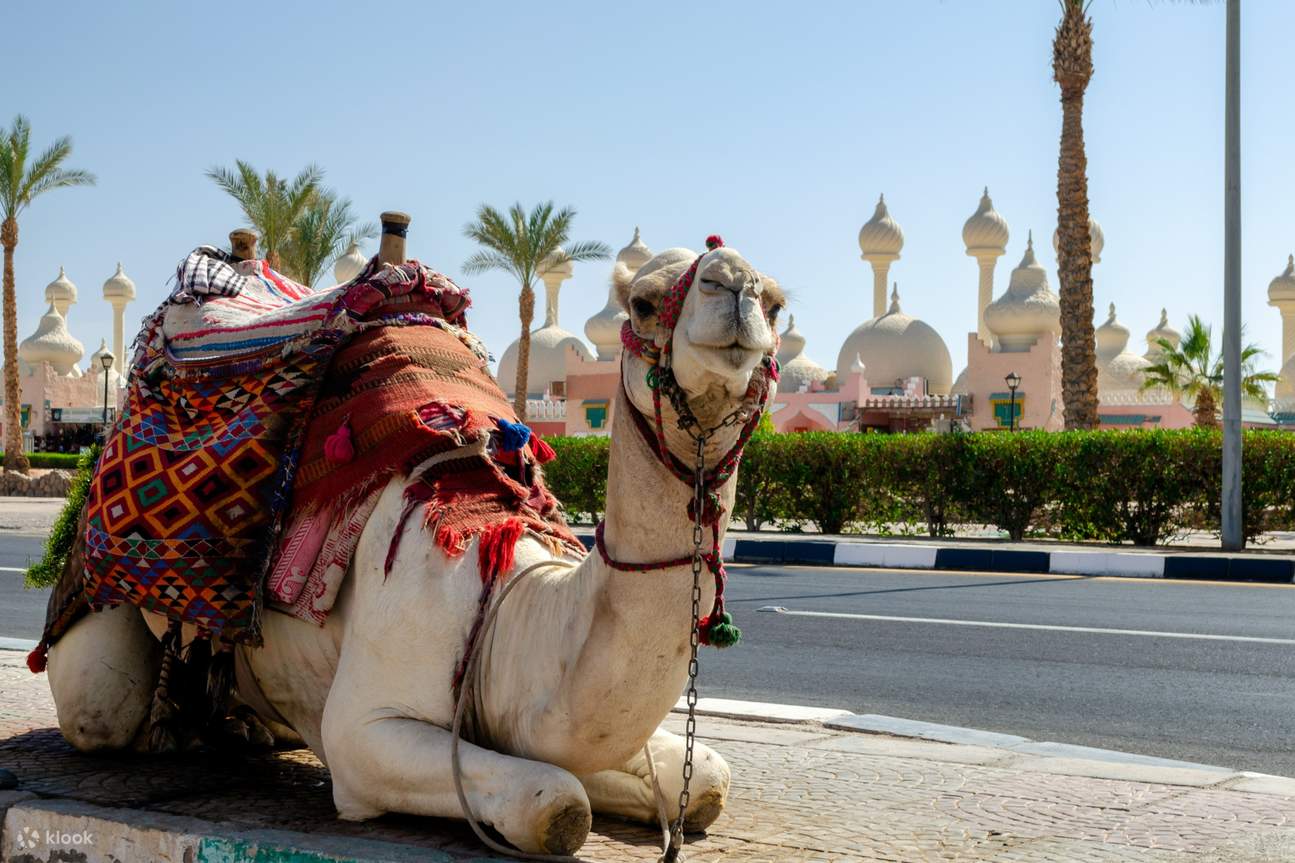 Sharm El Sheikh City and Old Market Shopping Tour - Klook