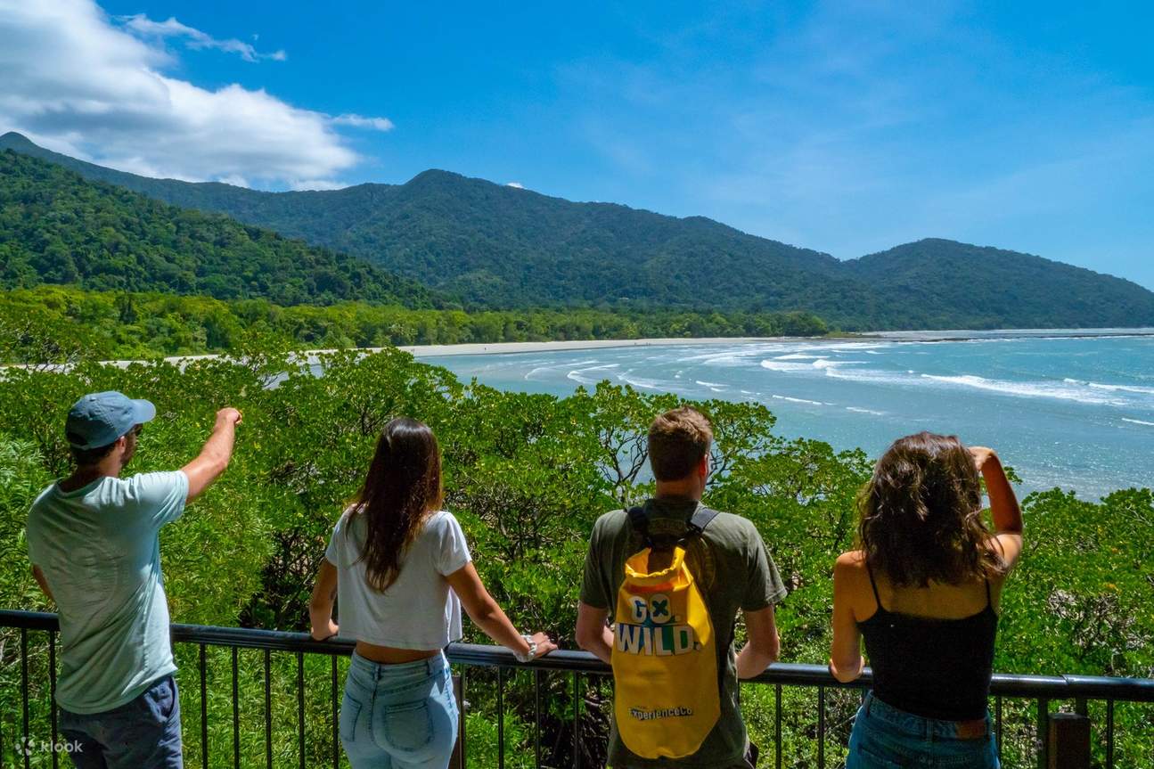 Daintree Rainforest Join In One Day Walking Tour from Port Douglas - Klook