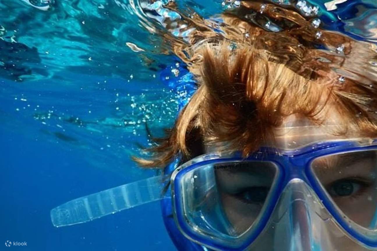 Snorkel Adventure and Sandbar Trip Experience in Islamorada - Klook ...