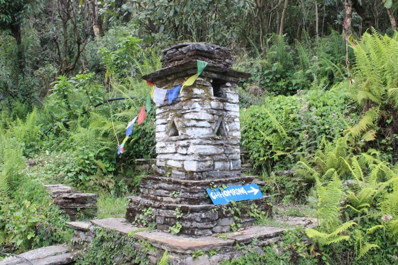 Trek Sirkuit Annapurna 10 Hari Terbaik dari Kathmandu atau Pokhara ...