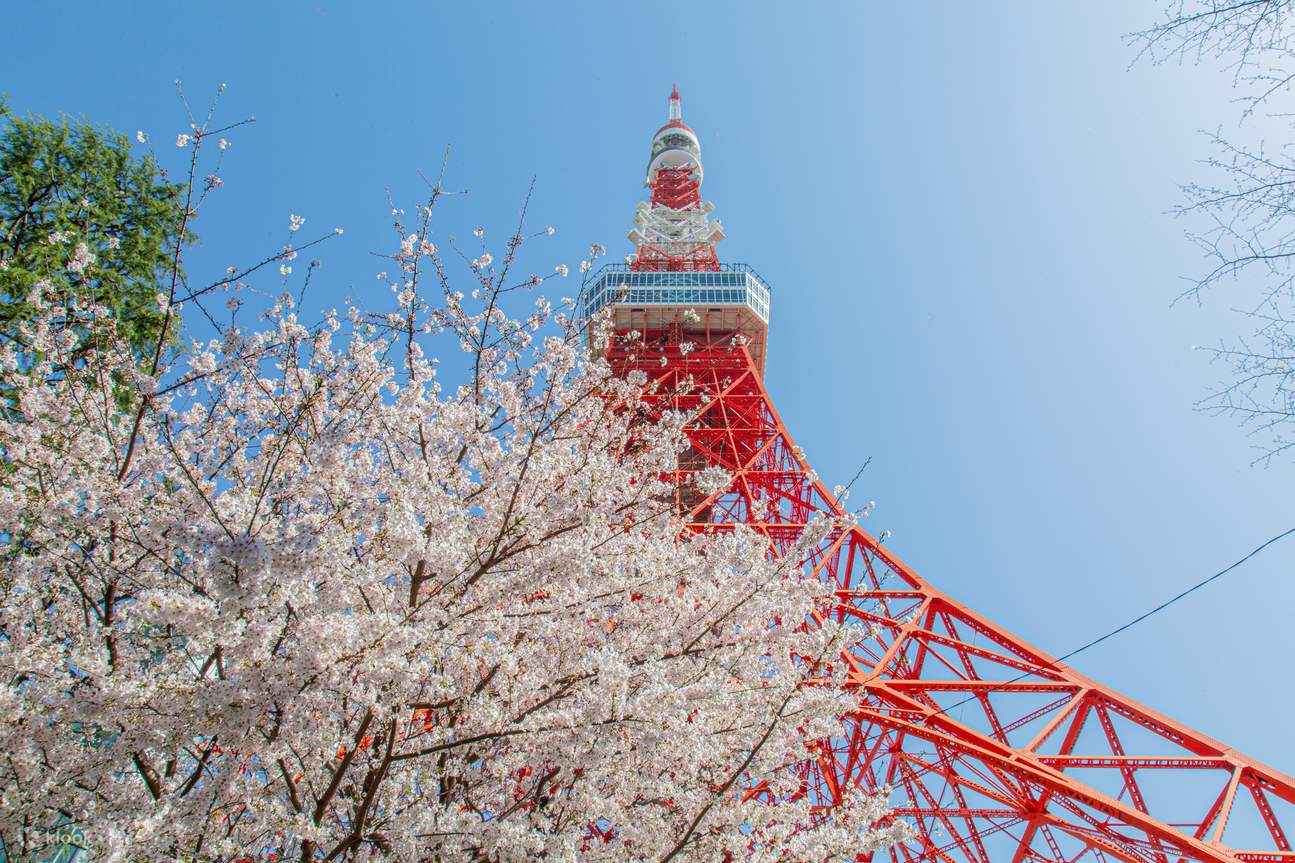 Tokyo Tower Observatory Ticket - Klook