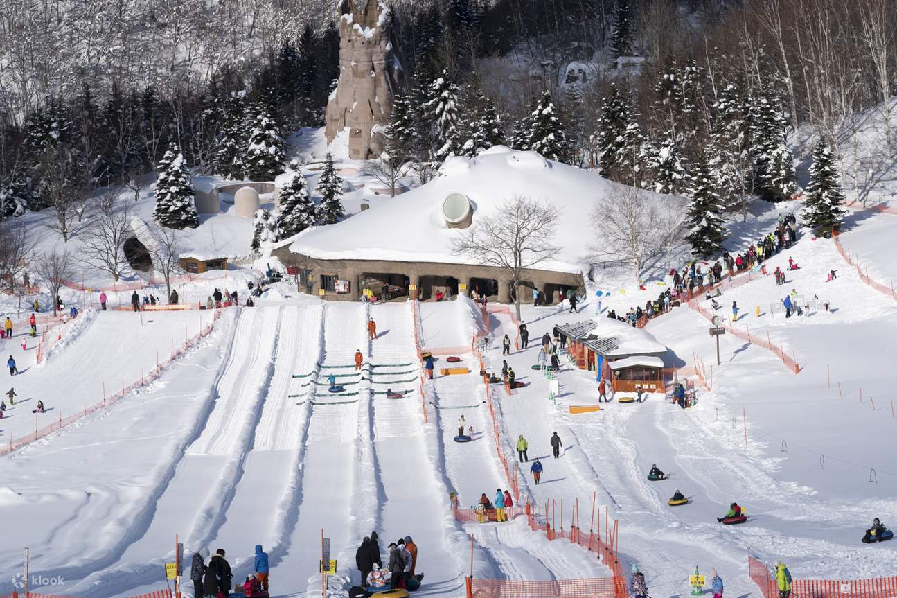 Hokkaido's first ski and snow play private tour (Sapporo) - Klook