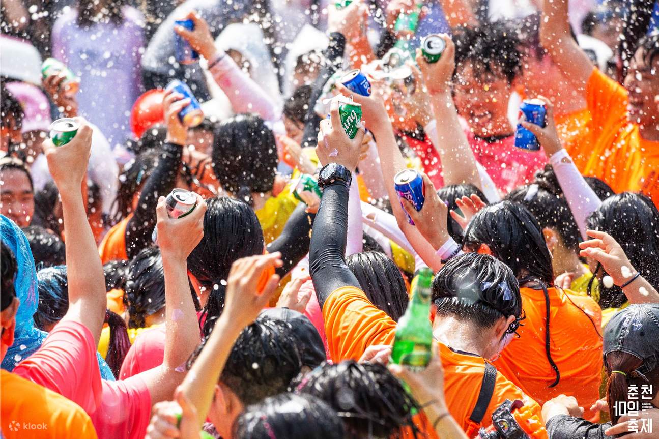 Eden Cherry Blossom & Nami Island & Alpaca World & Rail Bike Tour - Klook États-Unis