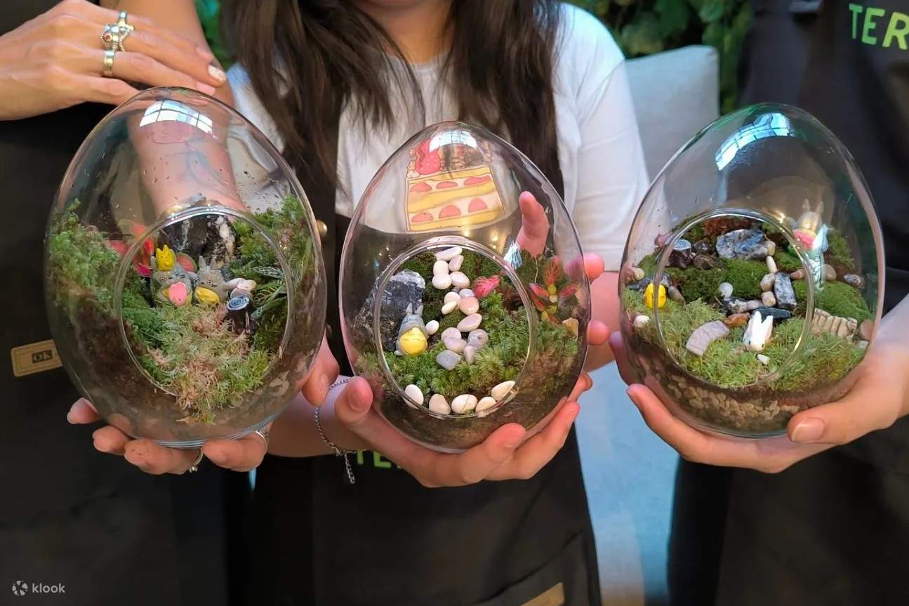 Terrarium Private Workshop in Jakarta - Klook