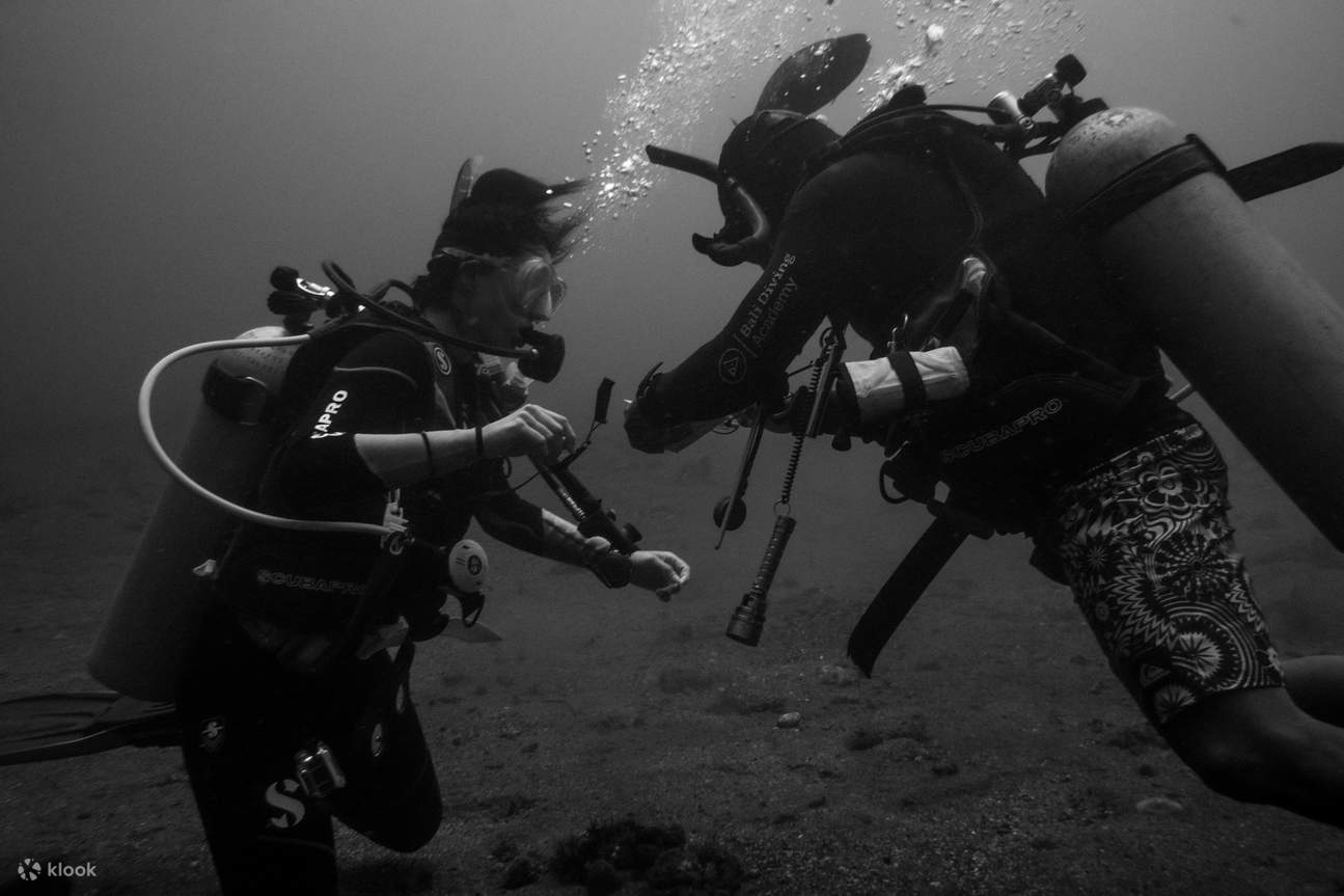 Daytrip Scuba Diving or Snorkeling to Tulamben - Klook