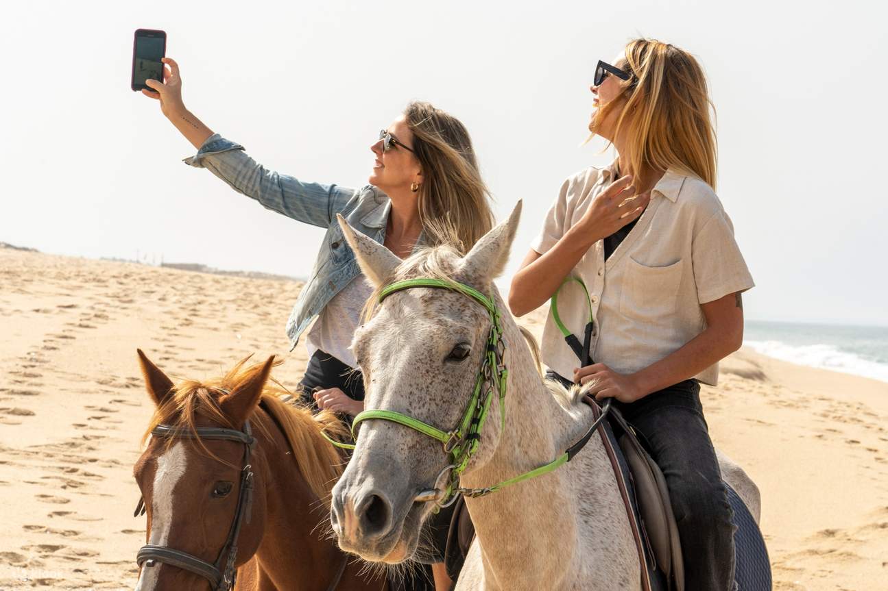 Horseback Riding Experience In Comporta And Setubal City Tour in from ...