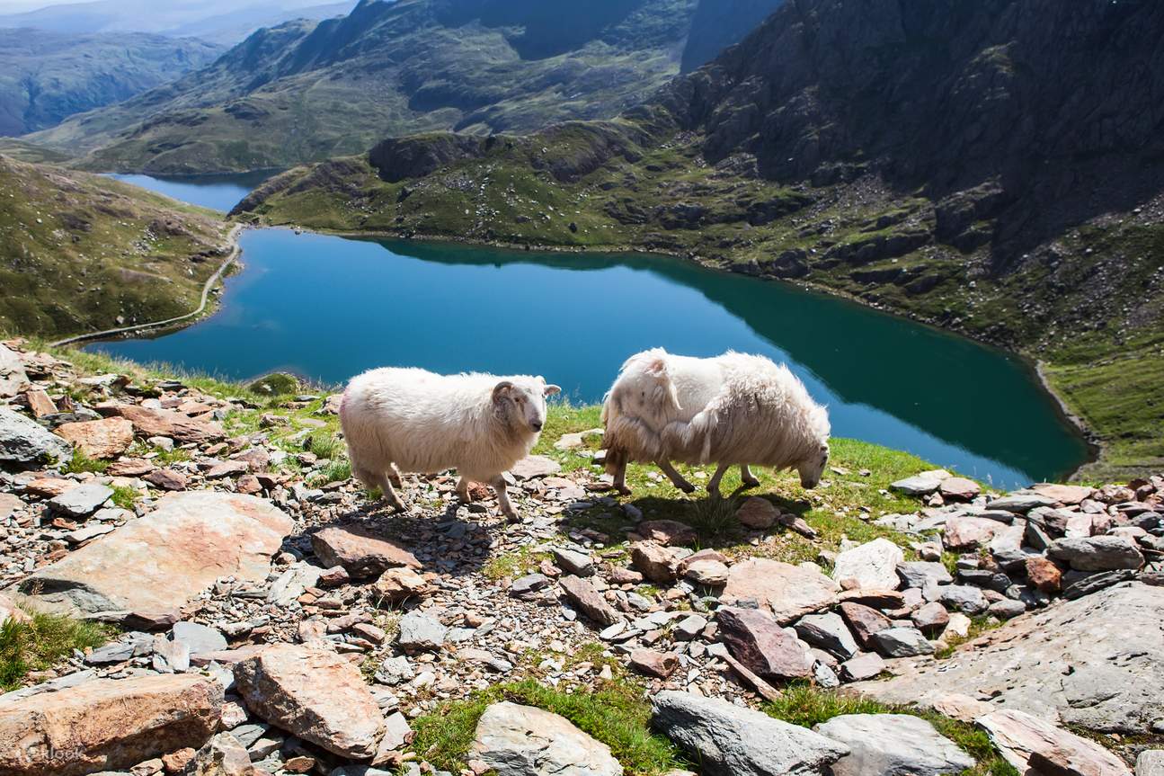 Snowdonia, North Wales & Chester Day Tour from Manchester - Klook Malaysia