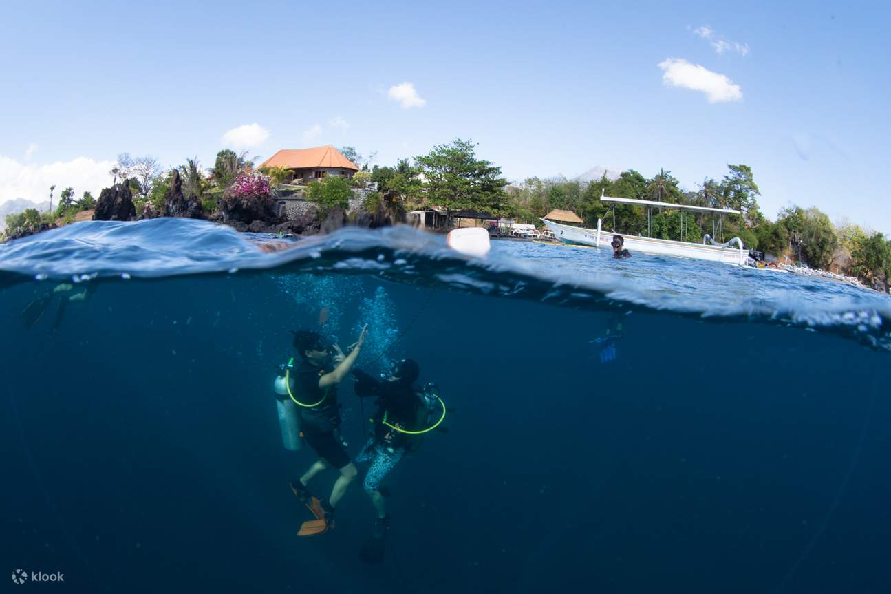 Kursus Penyelam PADI OW di Bali | Resor Selam Bintang 5 PADI - Klook Indonesia