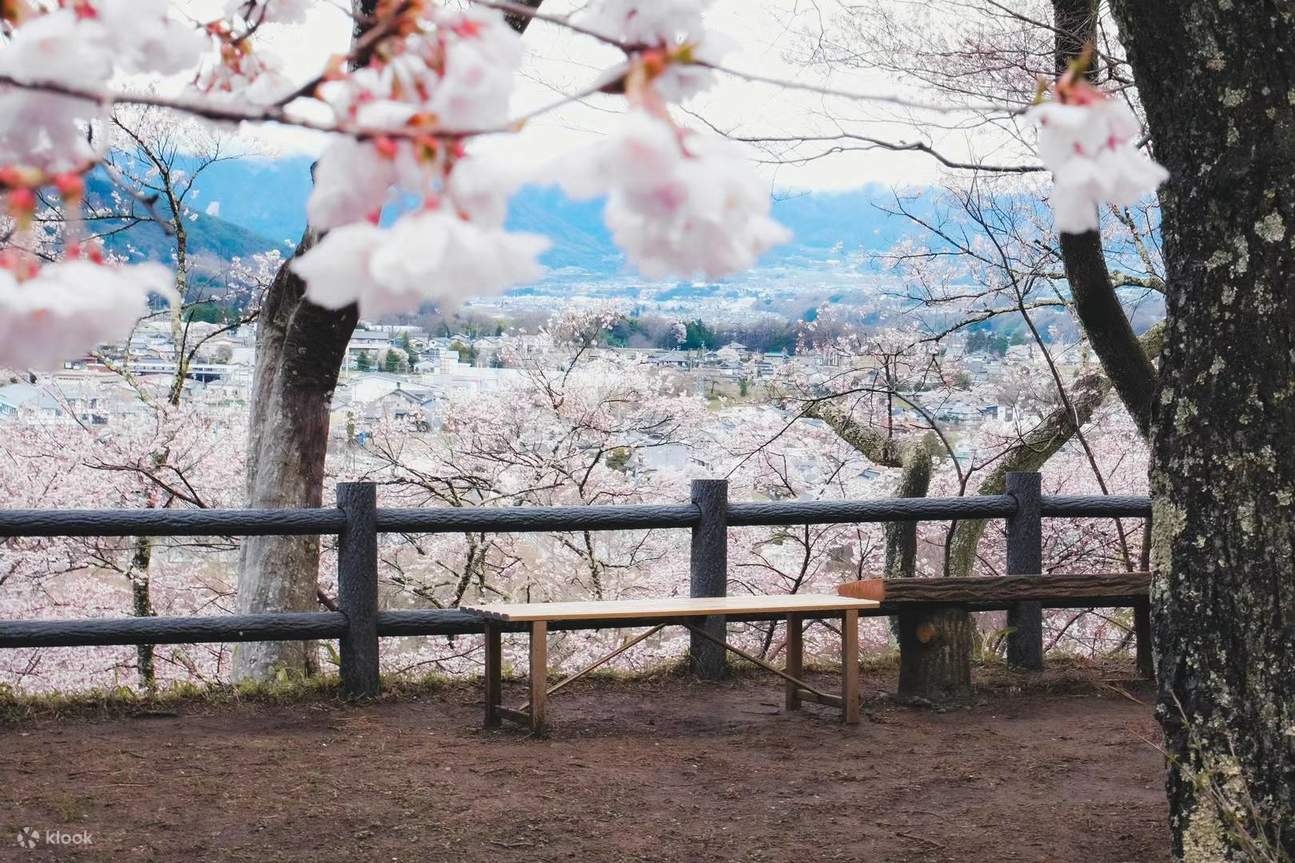 Takato Castle Park and Ena Gorge Cherry Blossom Viewing Day Bus Tour ...