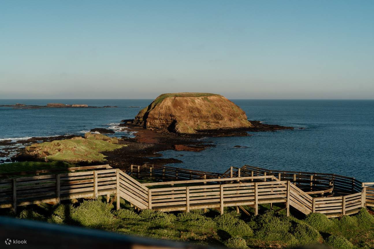 Phillip Island Penguin Parade and Churchill Island Farm Bus Tour ...