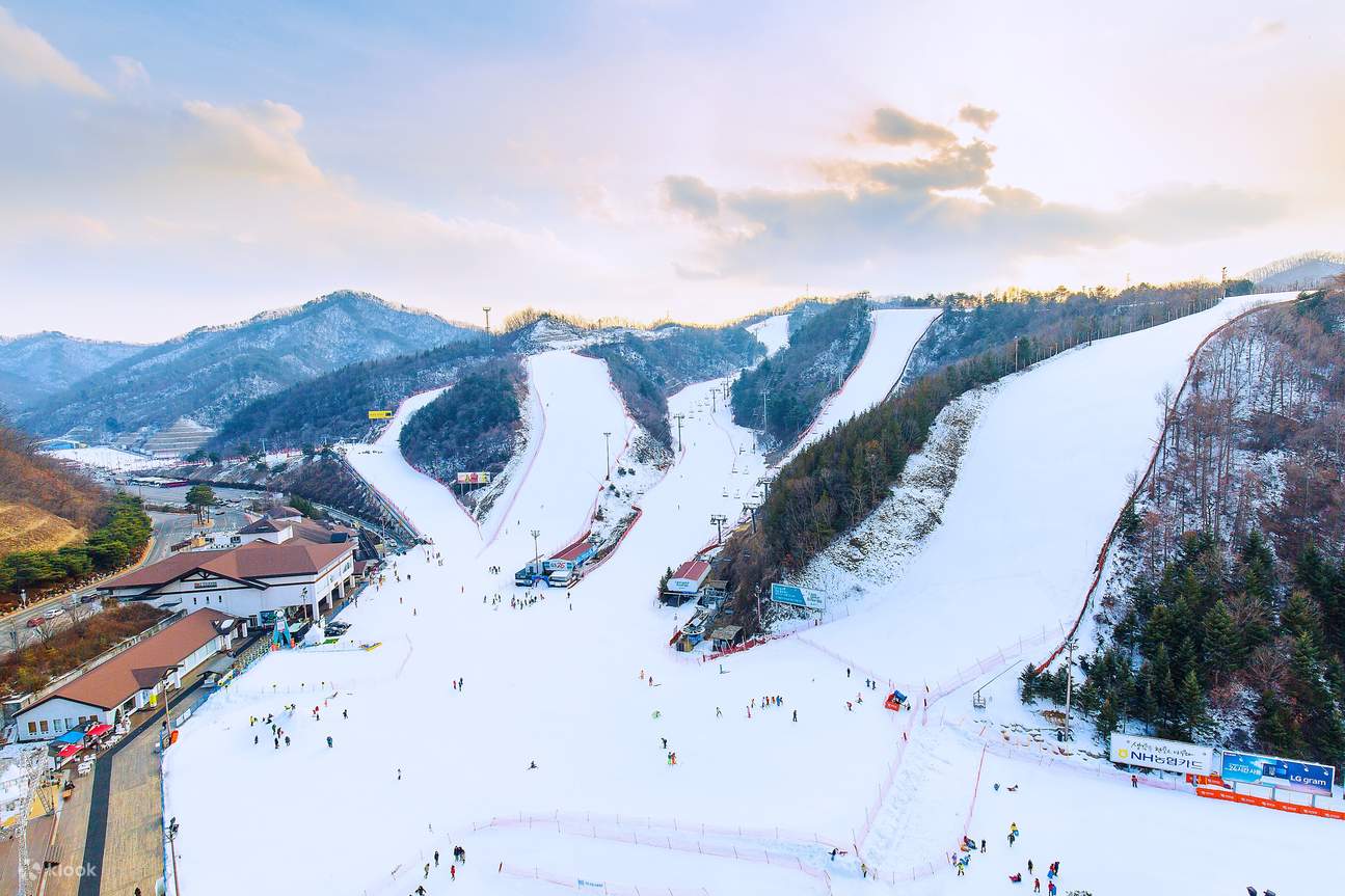 Premium Ski Day Tour from Seoul (Elysian Gangchon) - Klook India