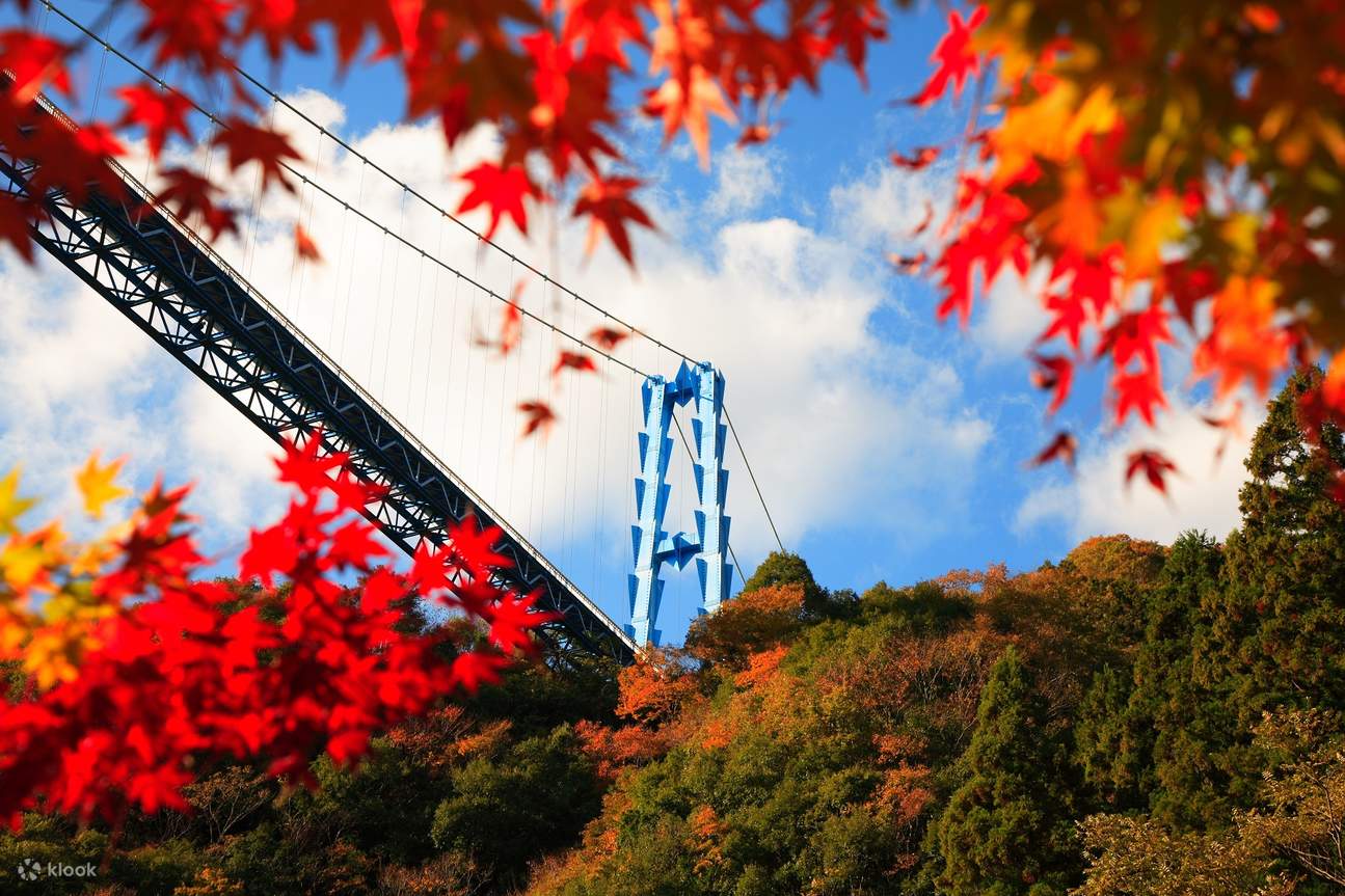 Ibaraki Fall Foliage Tour: Bagoda Falls & Ryujin Suspension Bridge Day ...