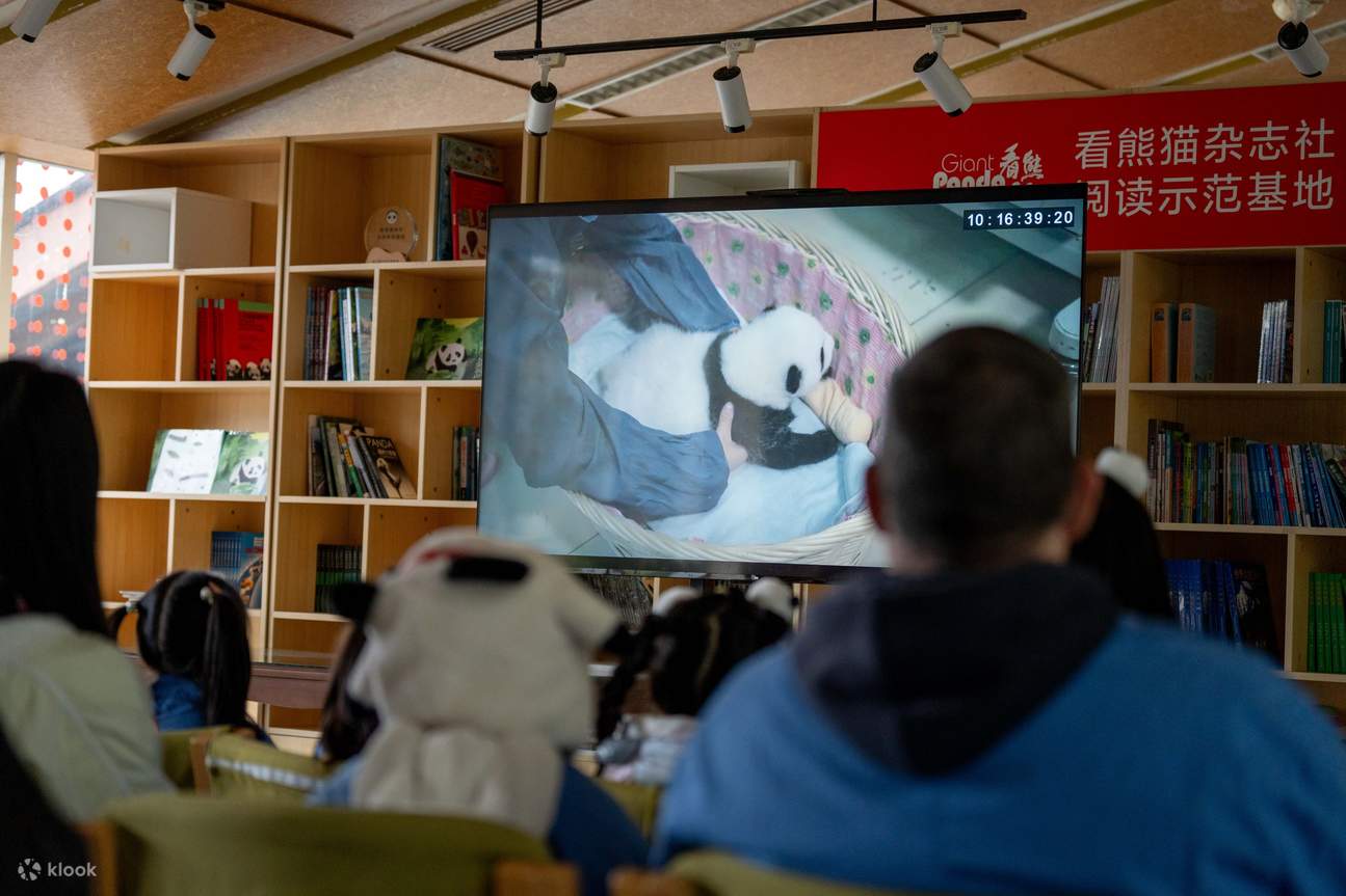 [Panda Volunteer] 1-Day Charity Experience: Dujiangyan/Wolong Panda Base Family Camp + Study ...