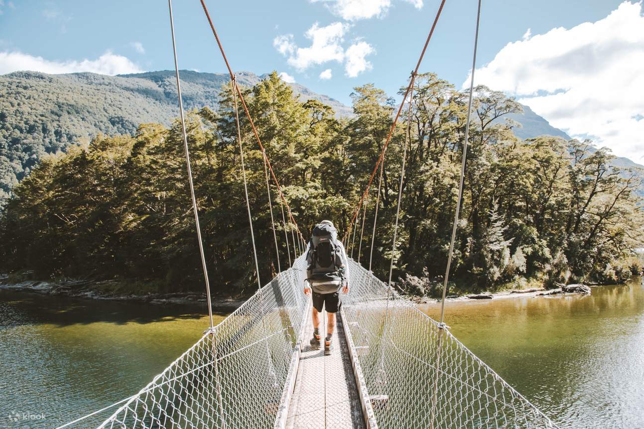 Excursión de un día a pie por el Milford Track desde el lago Te Anau ...