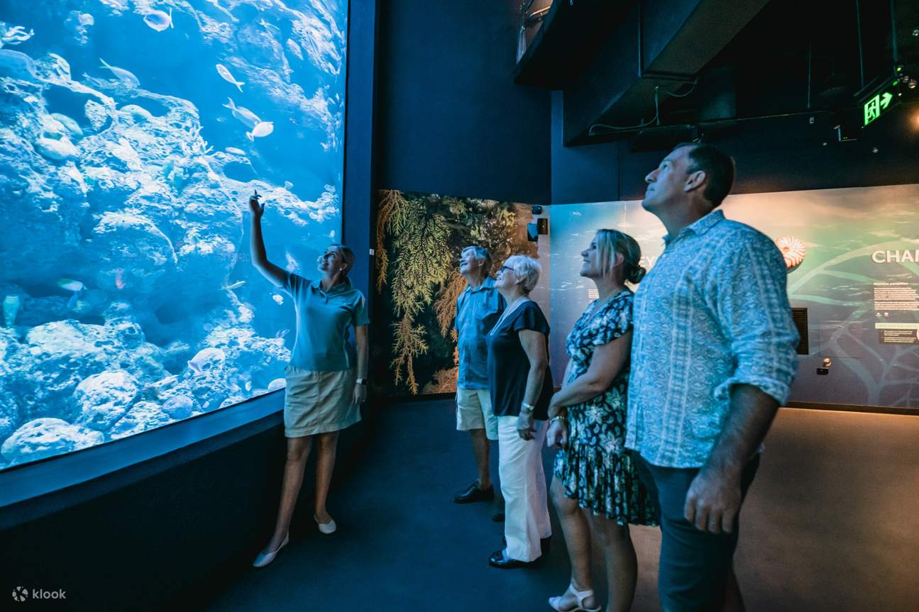 凯恩斯水族馆门票(含夜游) Klook客路