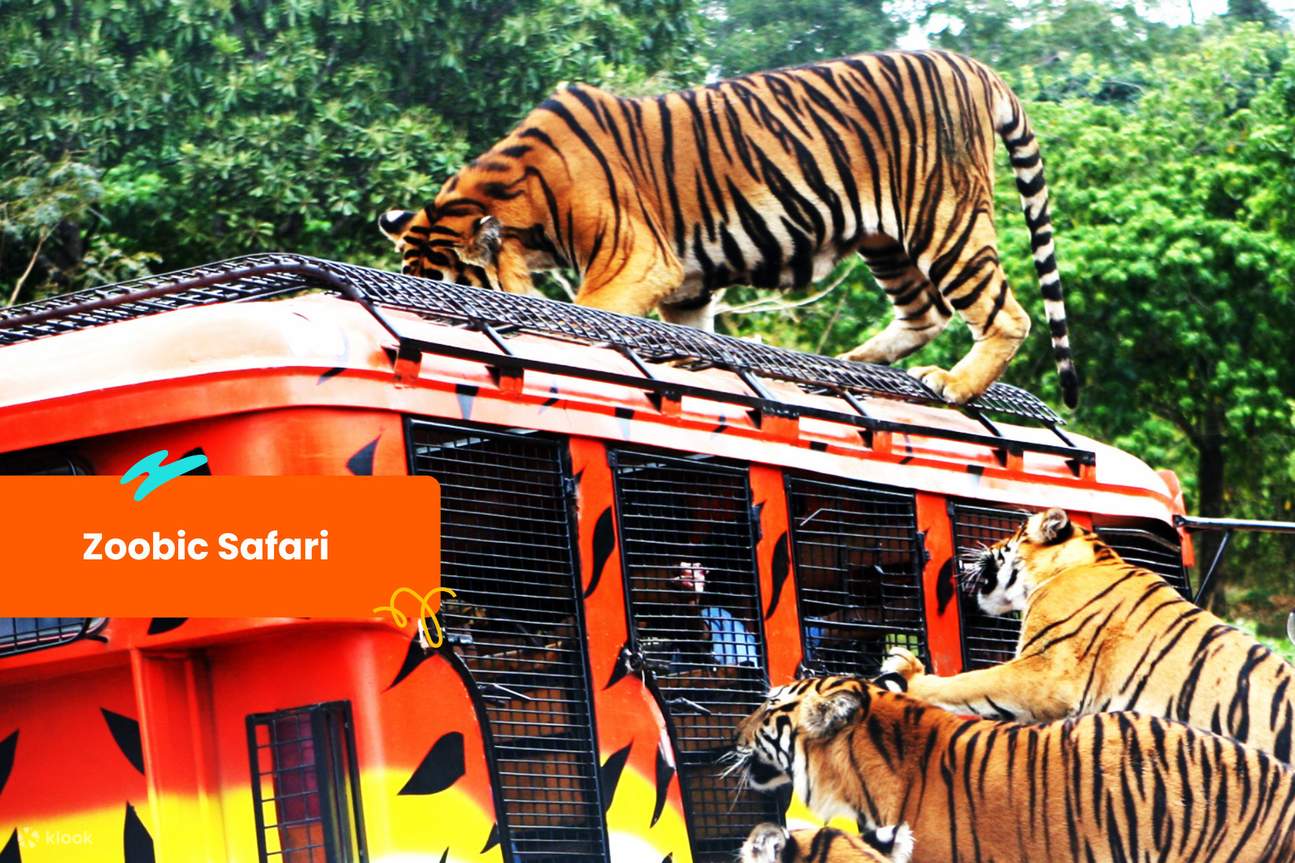 Klook Pass Luzon - Klook Philippines