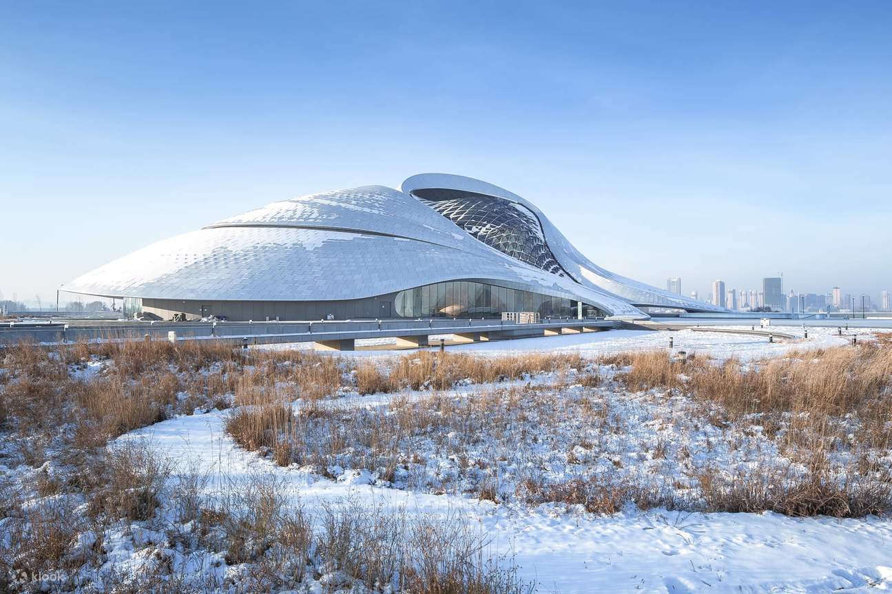 Private 1-Day Harbin Ice and Snow Festival Guided Tour in Northeast ...