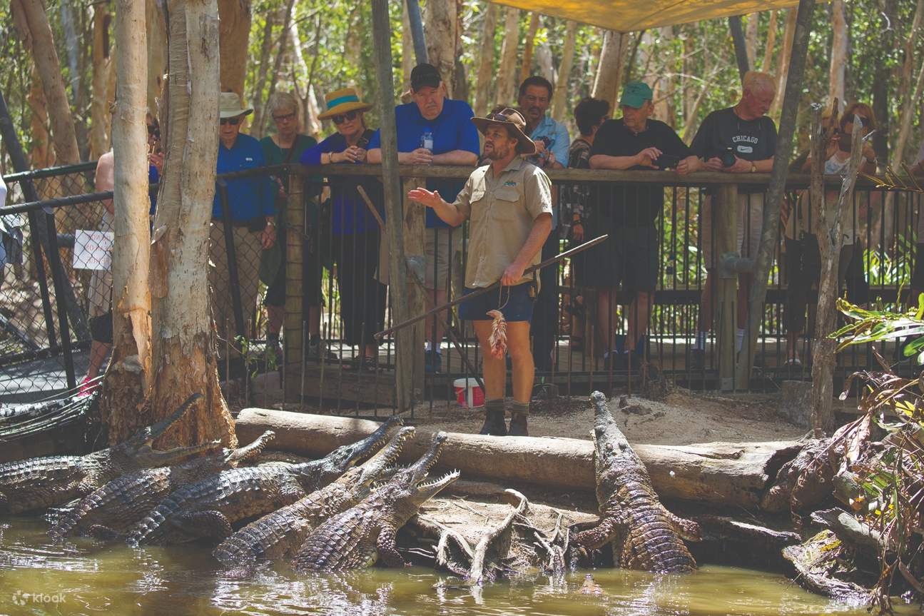 Hartley’s Crocodile Adventures Park Admission Ticket in Cairns ...