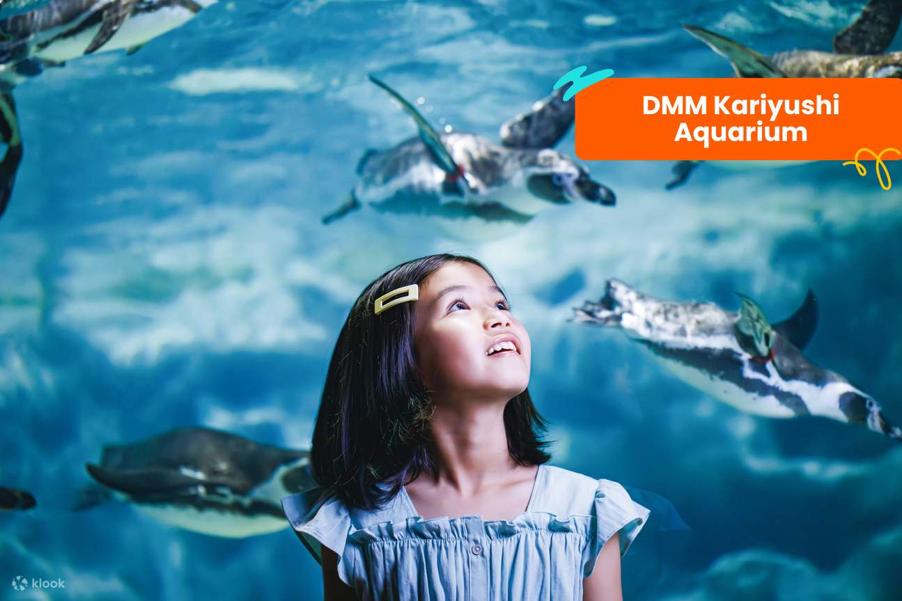 Pase para múltiples atracciones Klook Okinawa [¡Combine y ahorre!] - Klook Estados Unidos