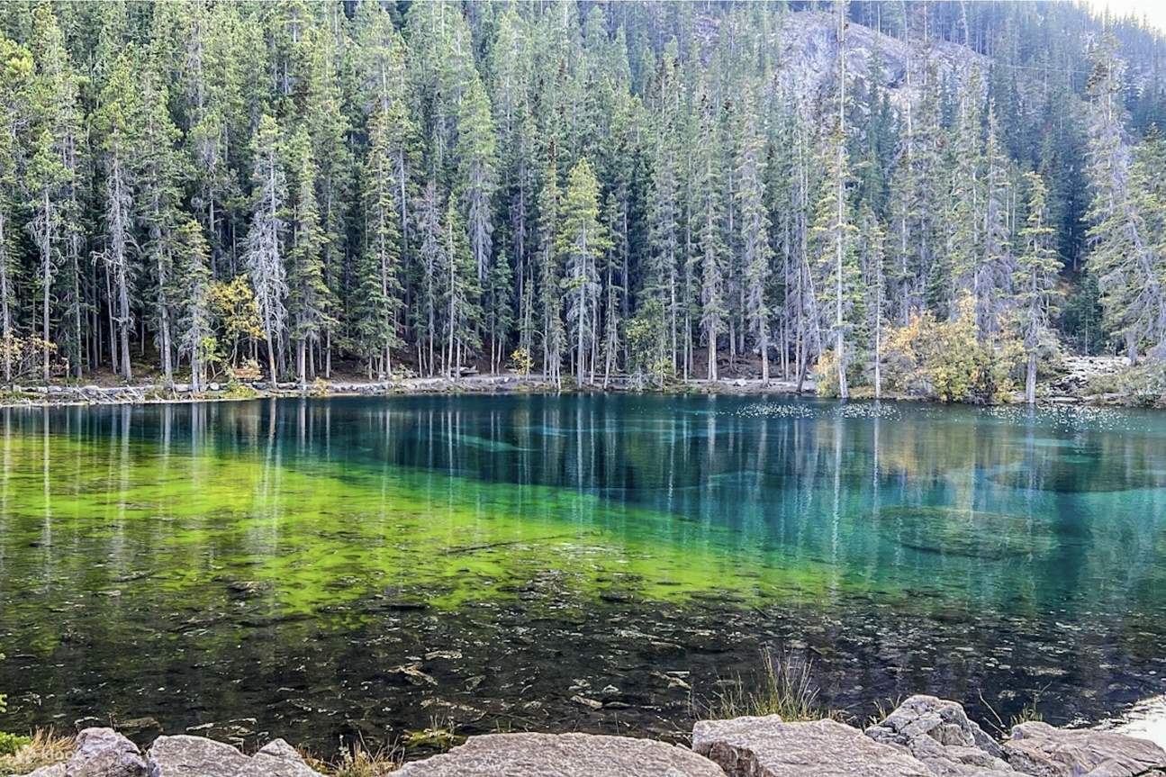 Grassi Lake, Grotto Canyon, and Lake Minnewanka Winter Tour in Banff ...