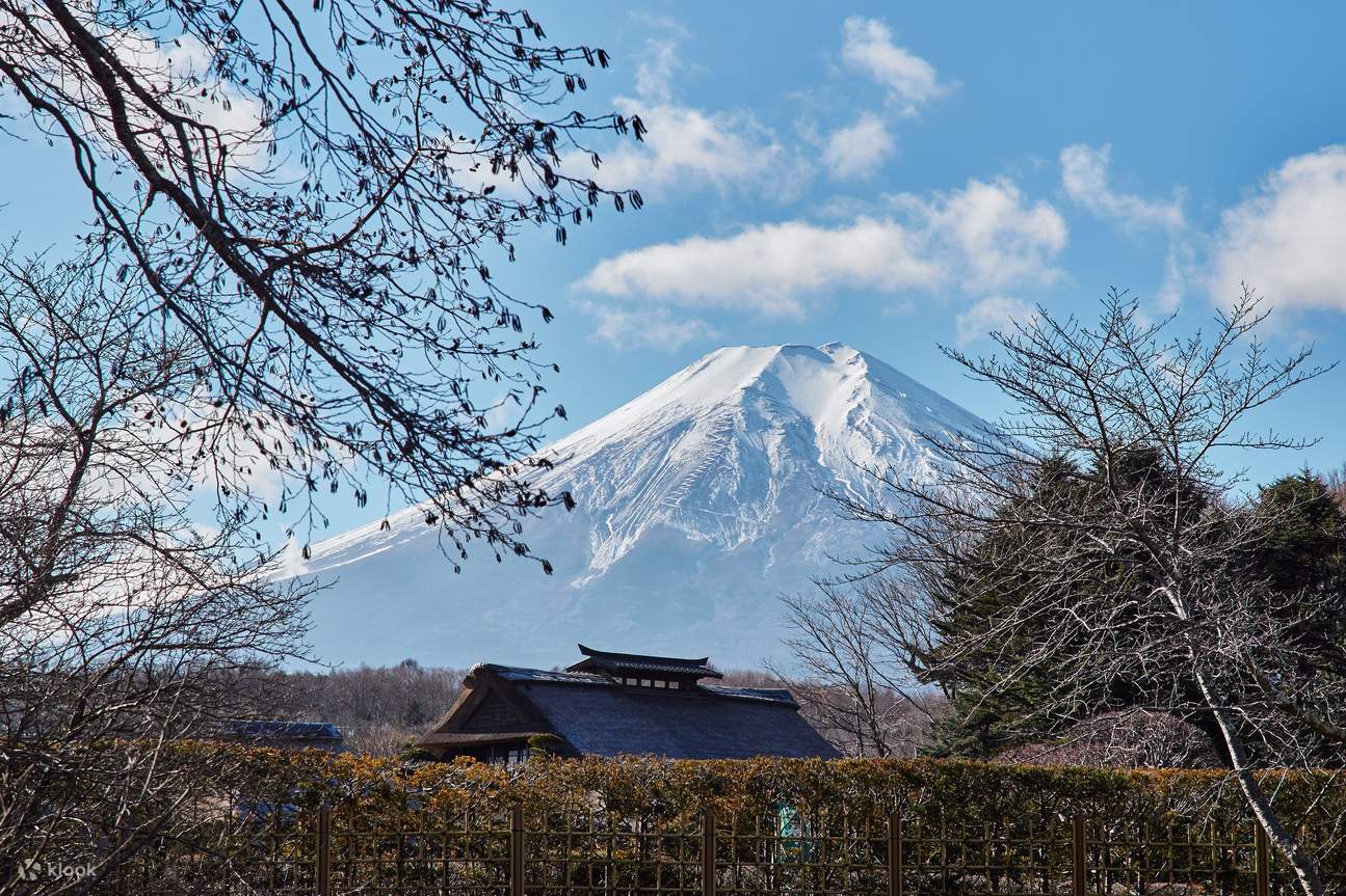 Mt. Fuji, Oishi Park, and Arakura Sengen Shrine One Day Bus Tour from ...