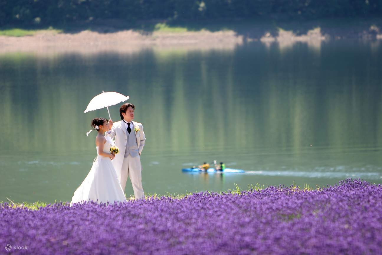 Tomamu Departure | Furano Cheese Factory & Asahiyama Zoo One-dayTour ...