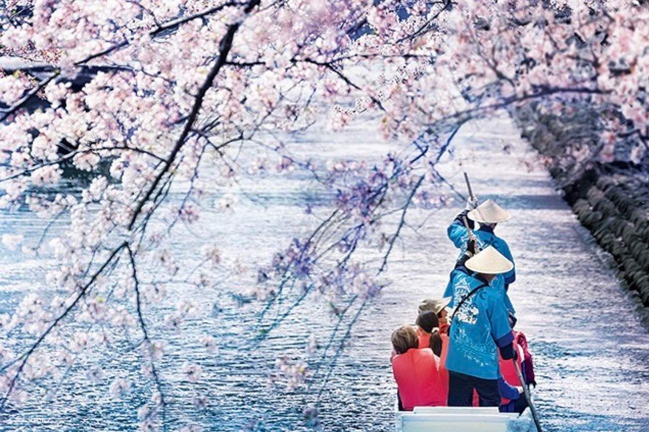 Amazing Sakura 1 Day Tour with Charter Train and Boat from Nagoya ...