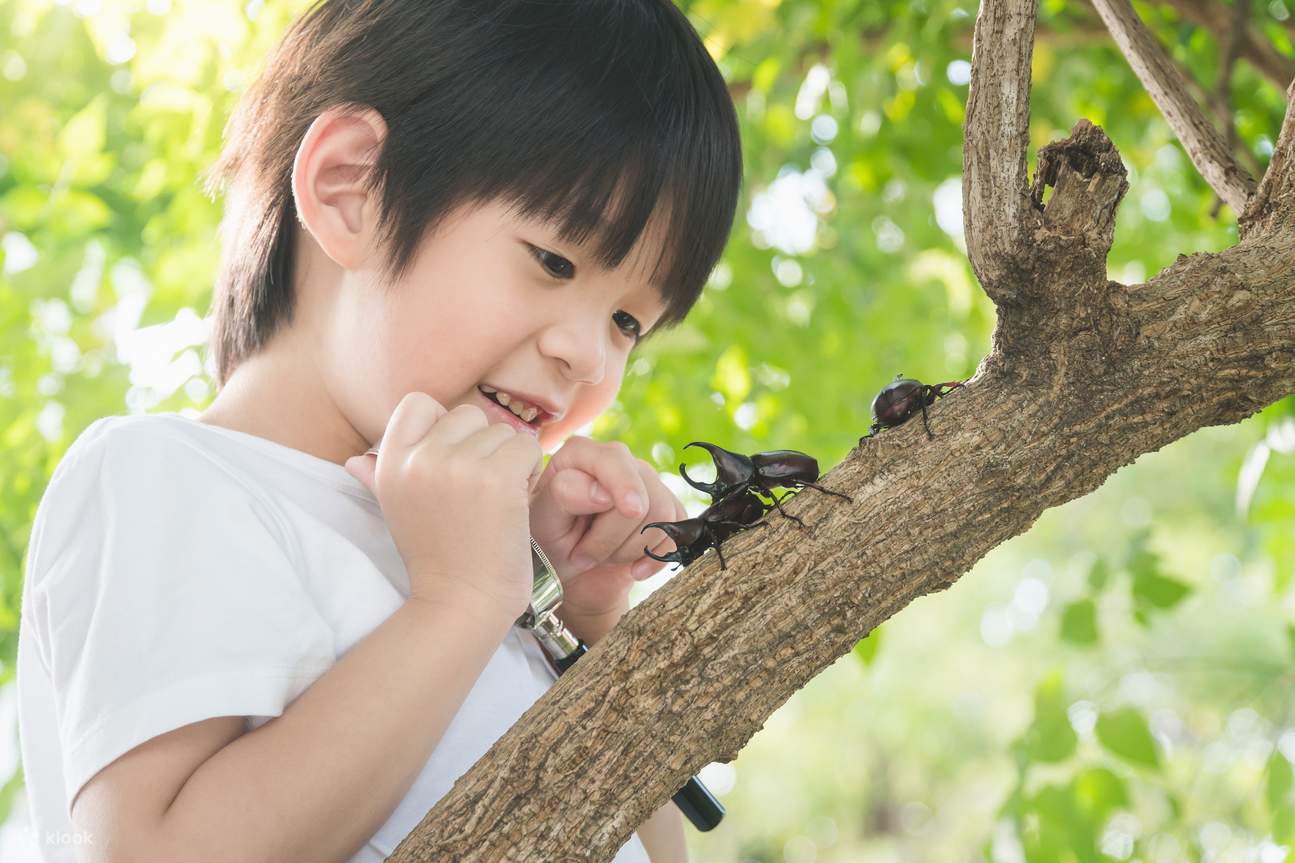 Noah's Academy Camps | Creativity Exploration Fun Camp / STEAM Missions ...