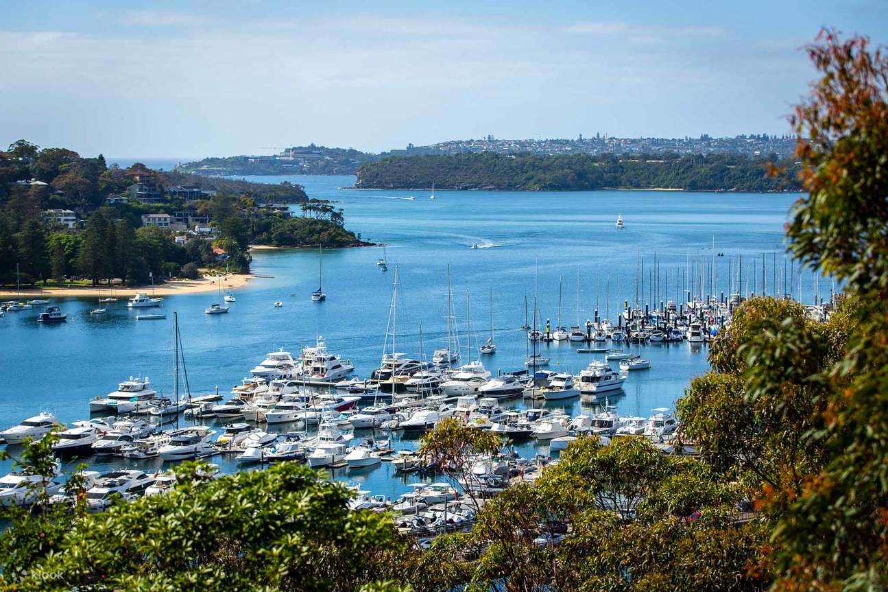 Private Sydney Bespoke Beaches Day Tour - Klook