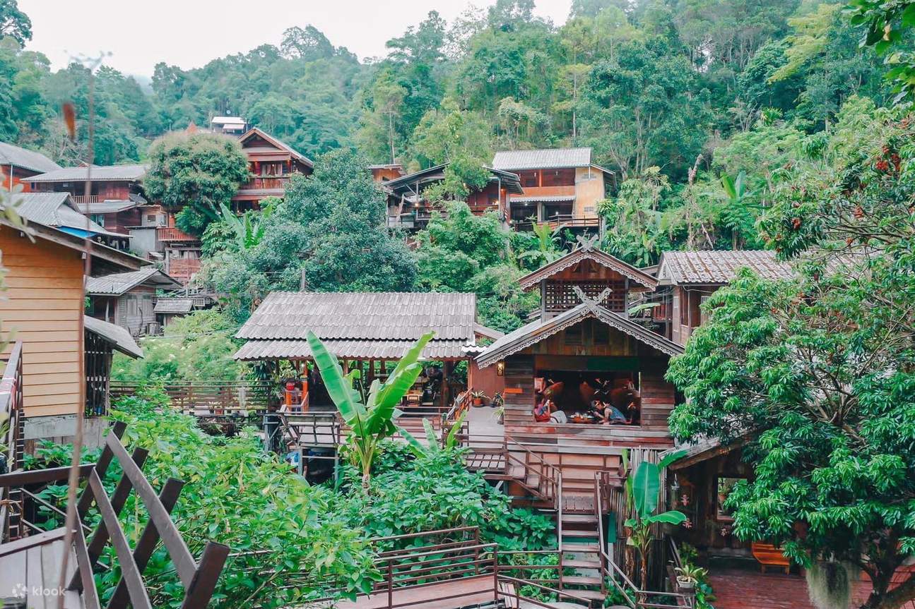 Affordable Shared Van Service to Monjam, Maekampong, Doi Inthanon, and ...