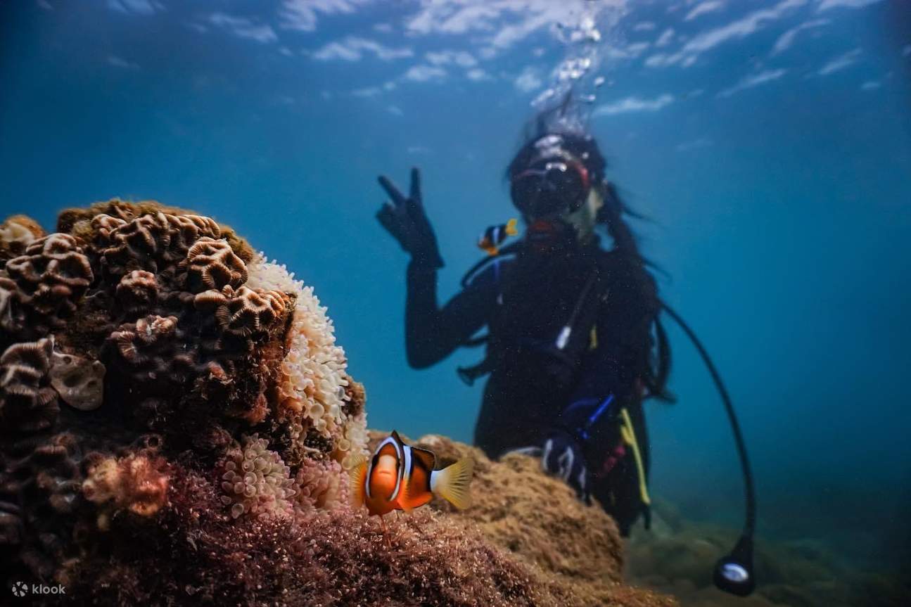 Penghu: Inari Diving Center - Experience Diving / Guided Diving ...