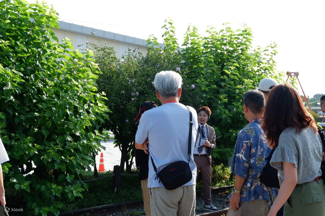 DMZ Tour from Seoul - Klook