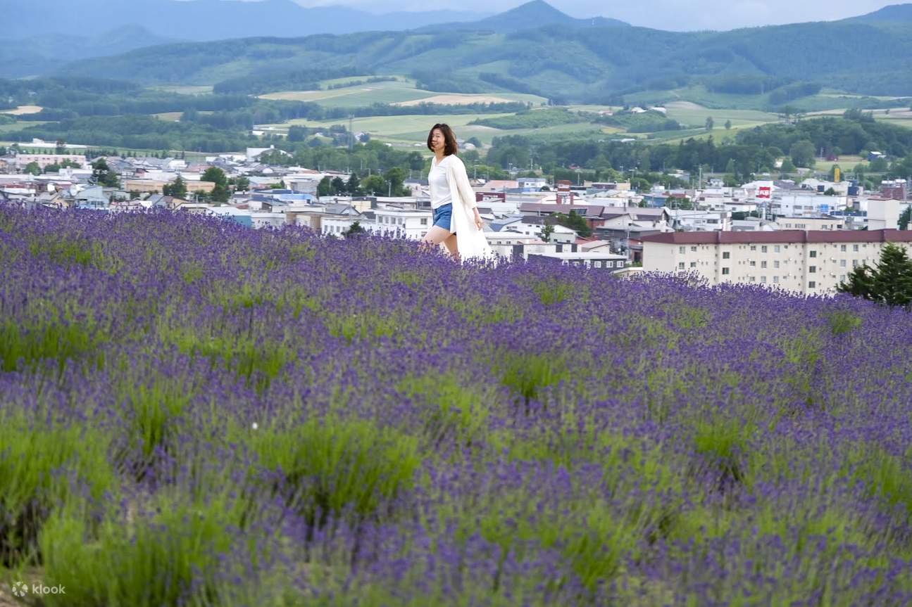 Hokkaido｜Summer Furano Biei Melon Flower Field & Wagyu Beef Luxury Lunch Day Tour Online ...