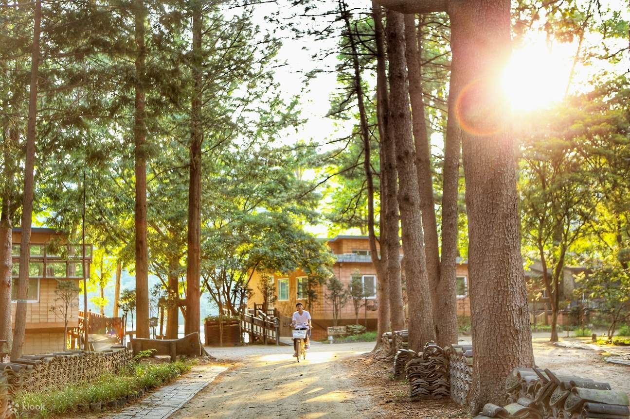 [Special Offer] Nami Island Admission with Restaurants & Activities ...