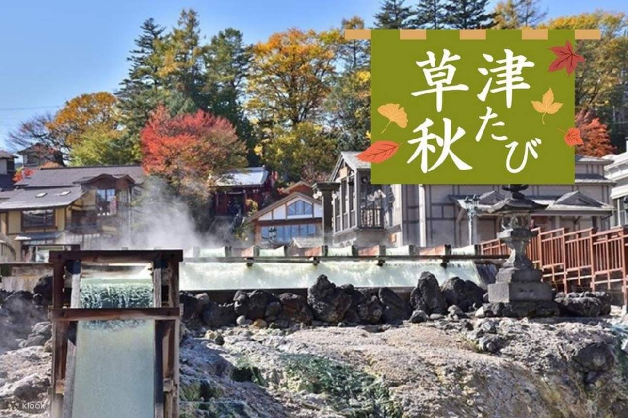 Karuizawa Maple Falls and Wild Monkey Hot Springs 2-Day Tour (Enjoy ...