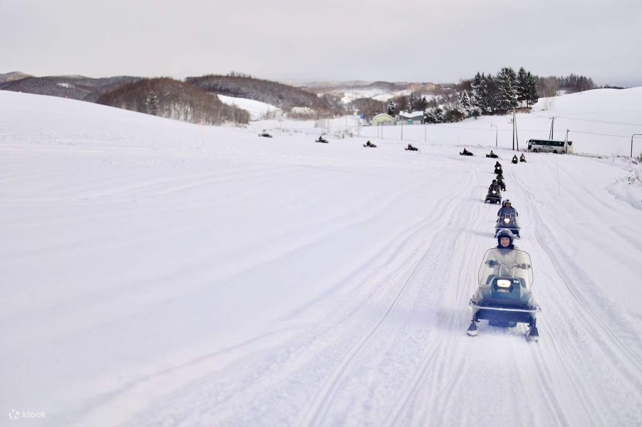 Hokkaido: Biei & Furano, Farm Tomita & Shikisai-no-oka Day Tour from ...