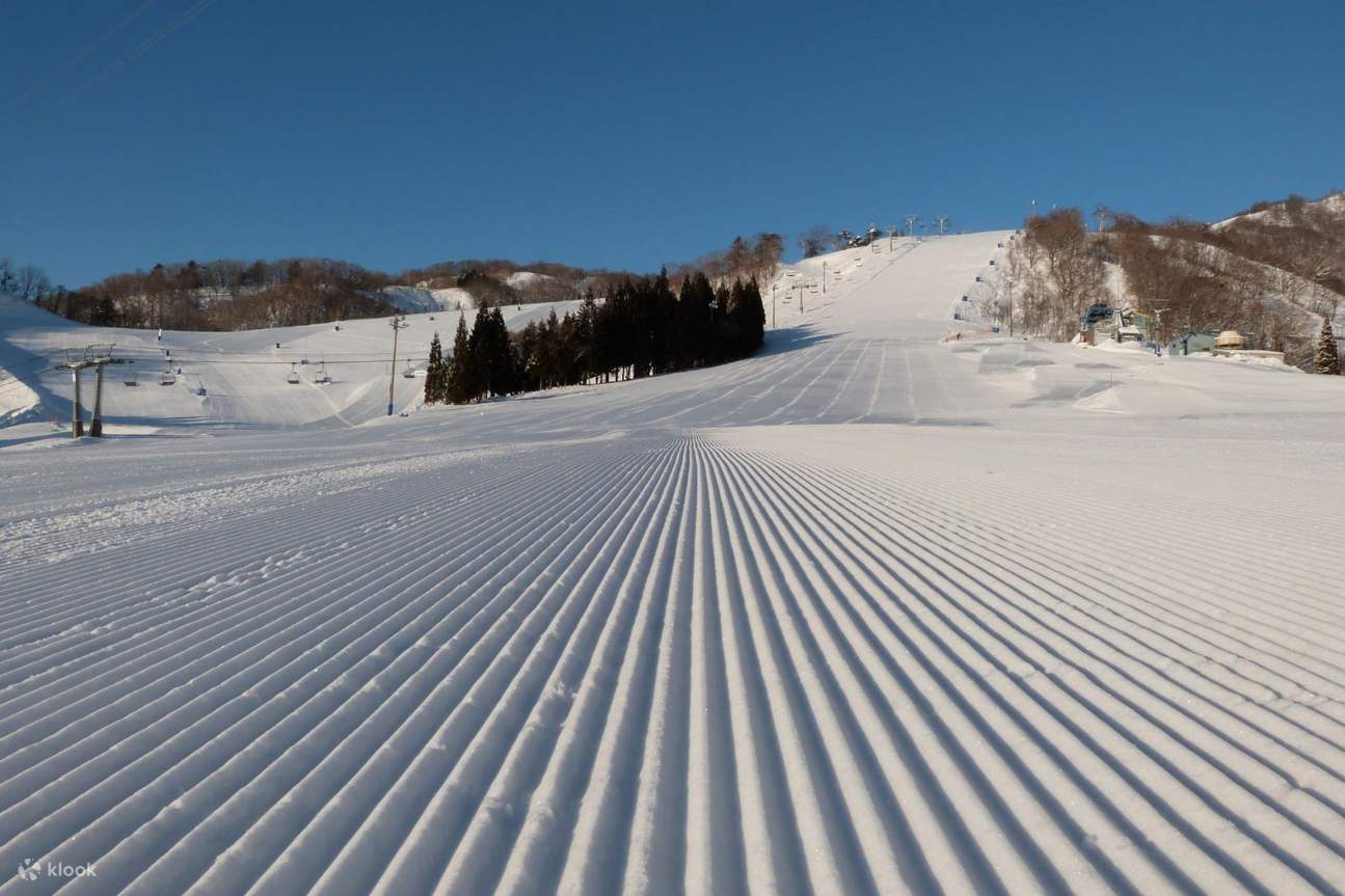Dynaland Ski Resort 1-DAY Lift Ticket & Round-Trip Bus from Nagoya ...