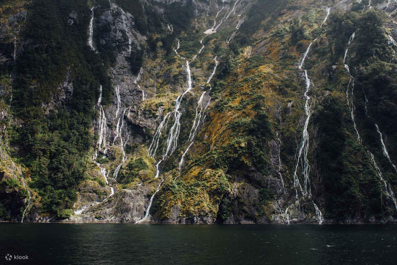 Milford Sound Day Tour and Cruise from multiple cities - Klook Australia