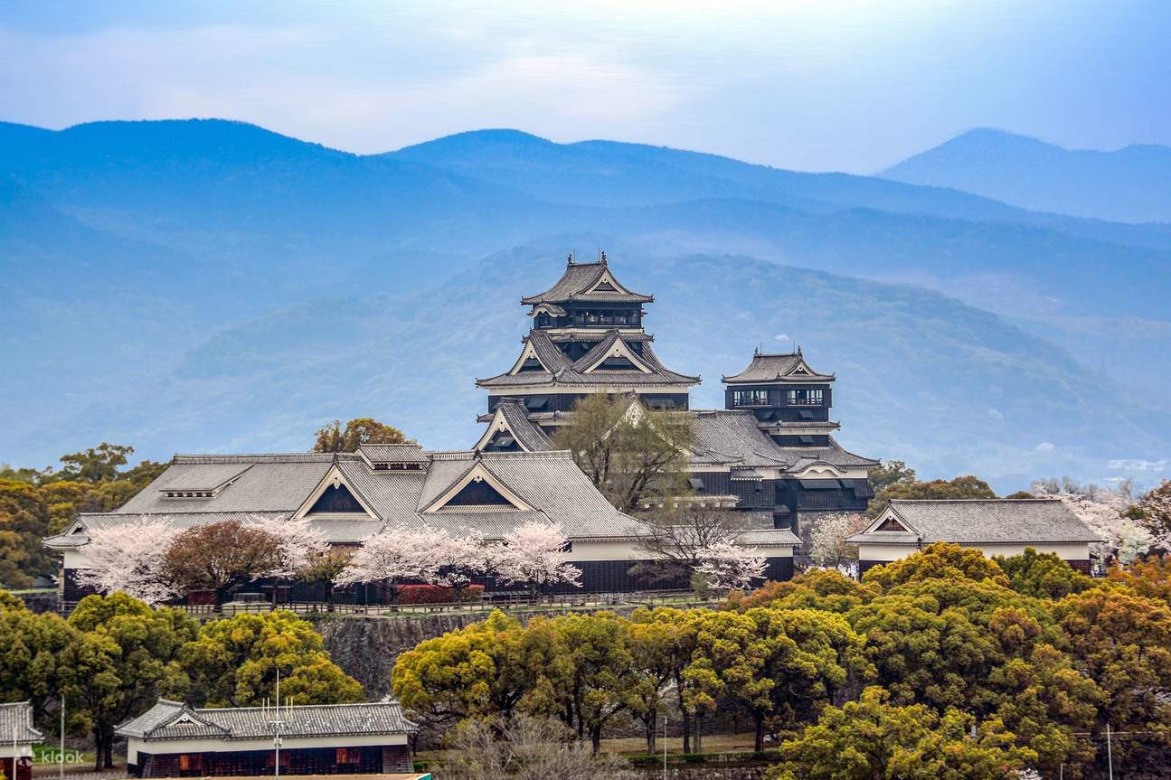 Kumamoto Cherry Blossom Tour from Fukuoka: Castle, Suizenji, Kikuchi ...