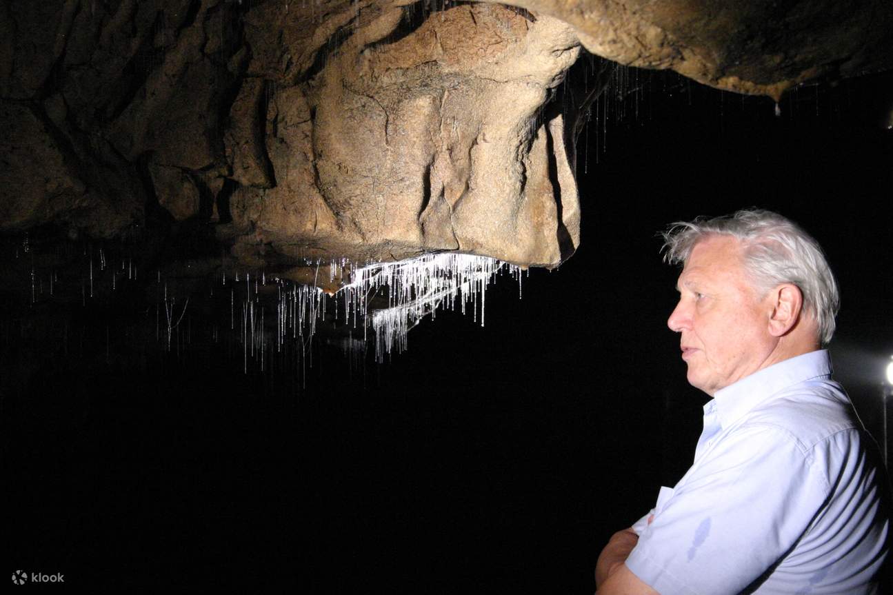 Black Labyrinth Black Water Rafting and Hobbiton Day Tour from Rotorua ...