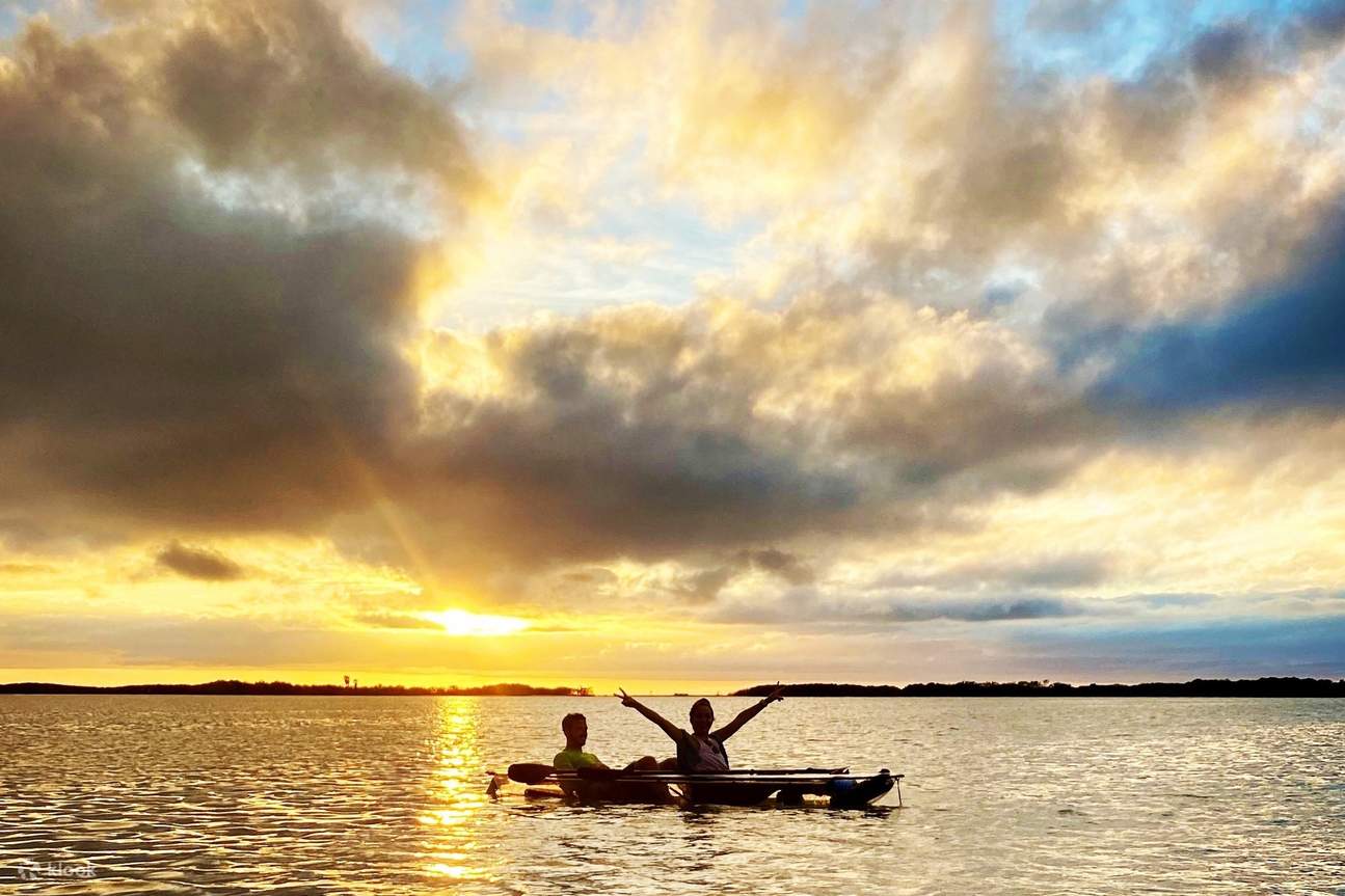 Shell Key Preserve Clear Kayak Tour in Tampa Bay - Klook Estados Unidos