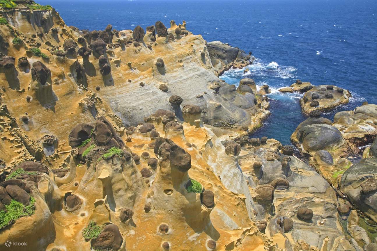 Taipei: Pet Tourism - One-day tour to Heping Island, Jinshan Old Street ...