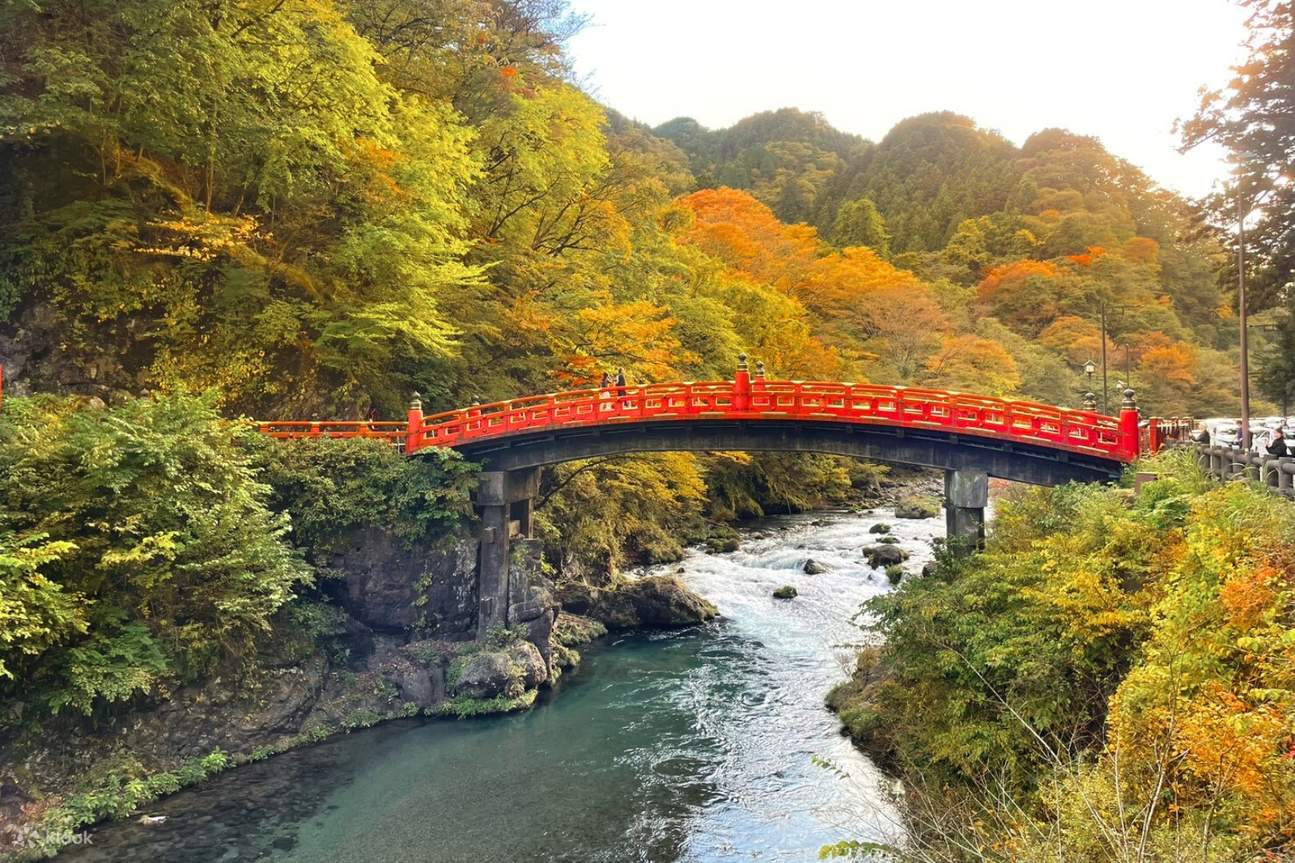 Shinkyo, Nikko Toshogu, & Lake Chuzenji Day Tour with Maple Viewing ...